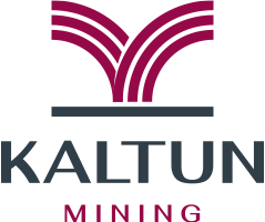 Kaltun Grup